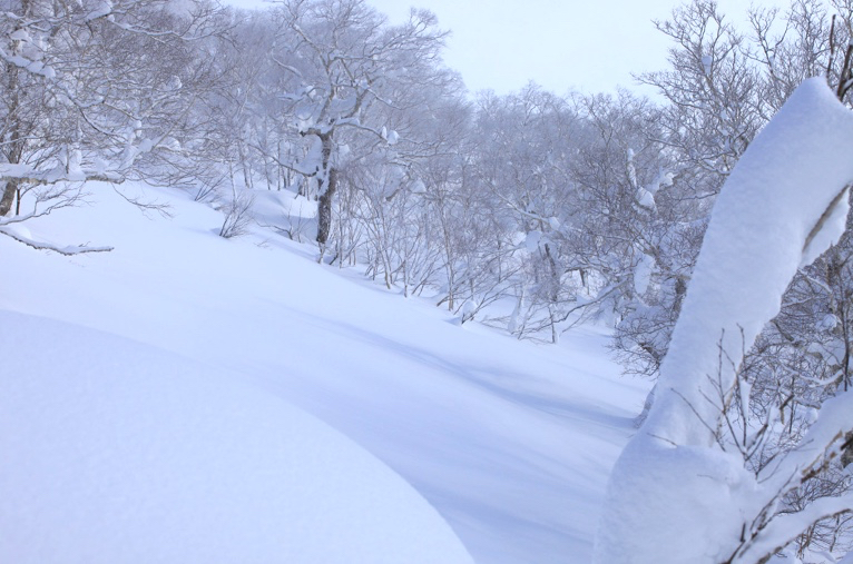 Powder week just began!! - Powderlife