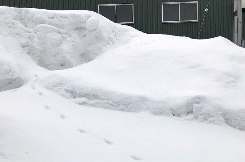 Spring is taking hold | Powderlife