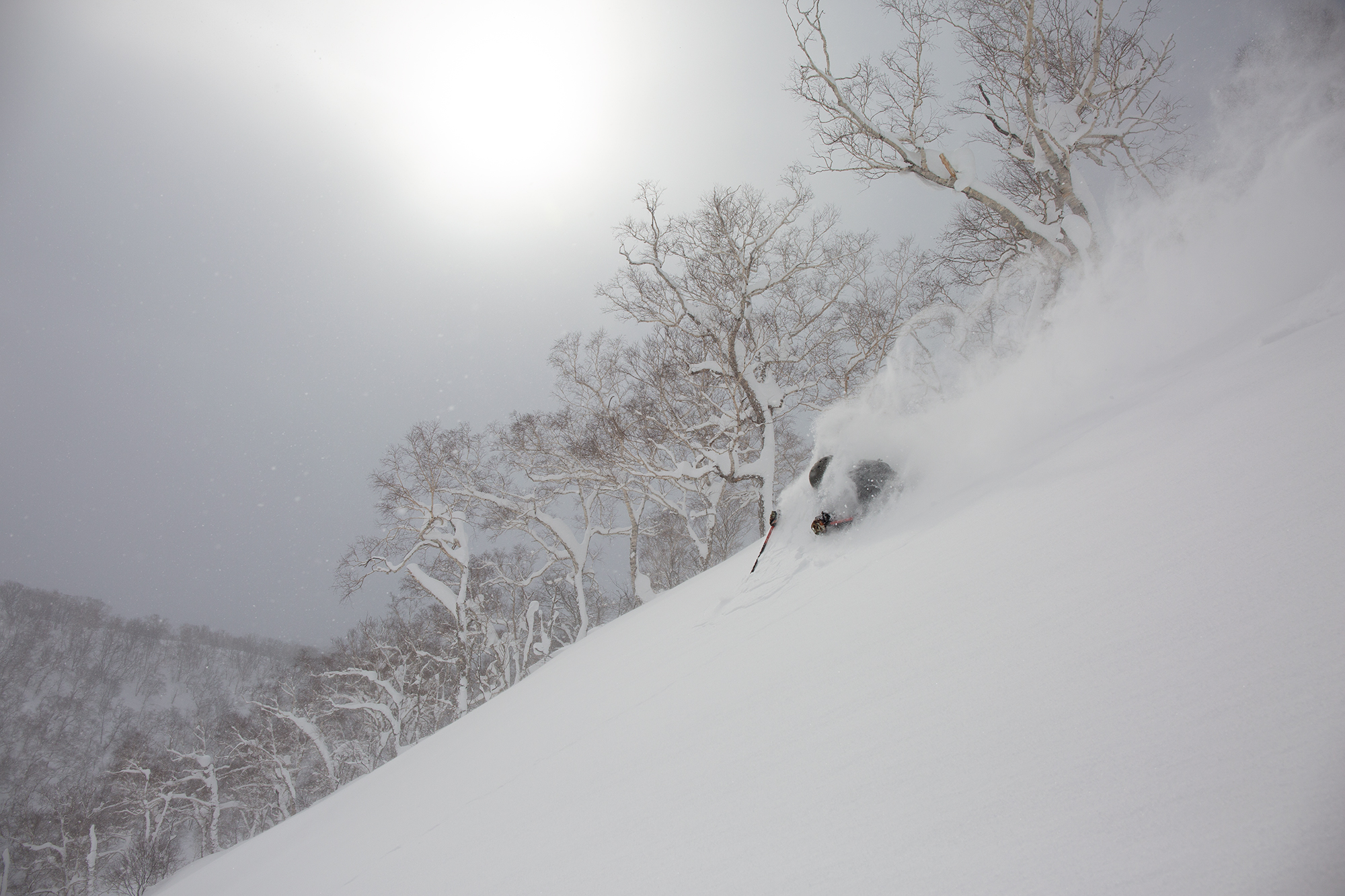 Pow backs off as Japow ProAM launches - Powderlife
