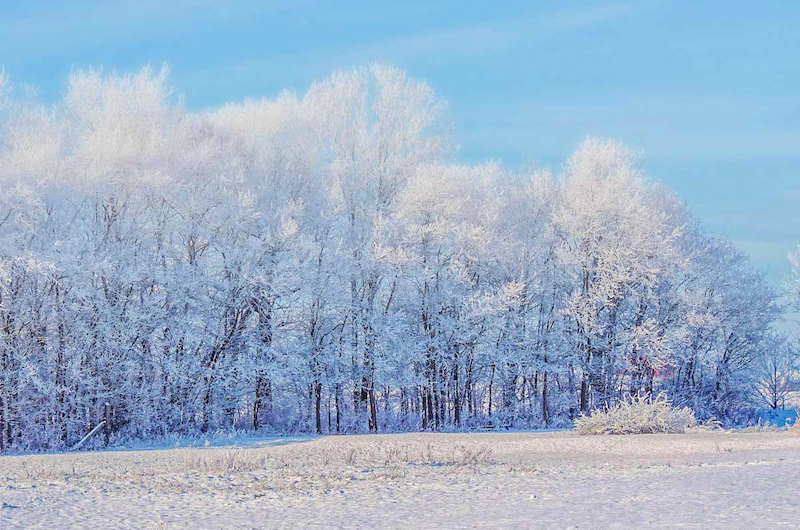 The Future is in Furano: Central Hokkaido's Year-Round Tourism Hotspot ...