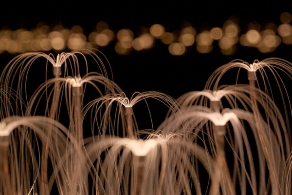 Hanazono Mountain Lights Bookings Are Open - Powderlife