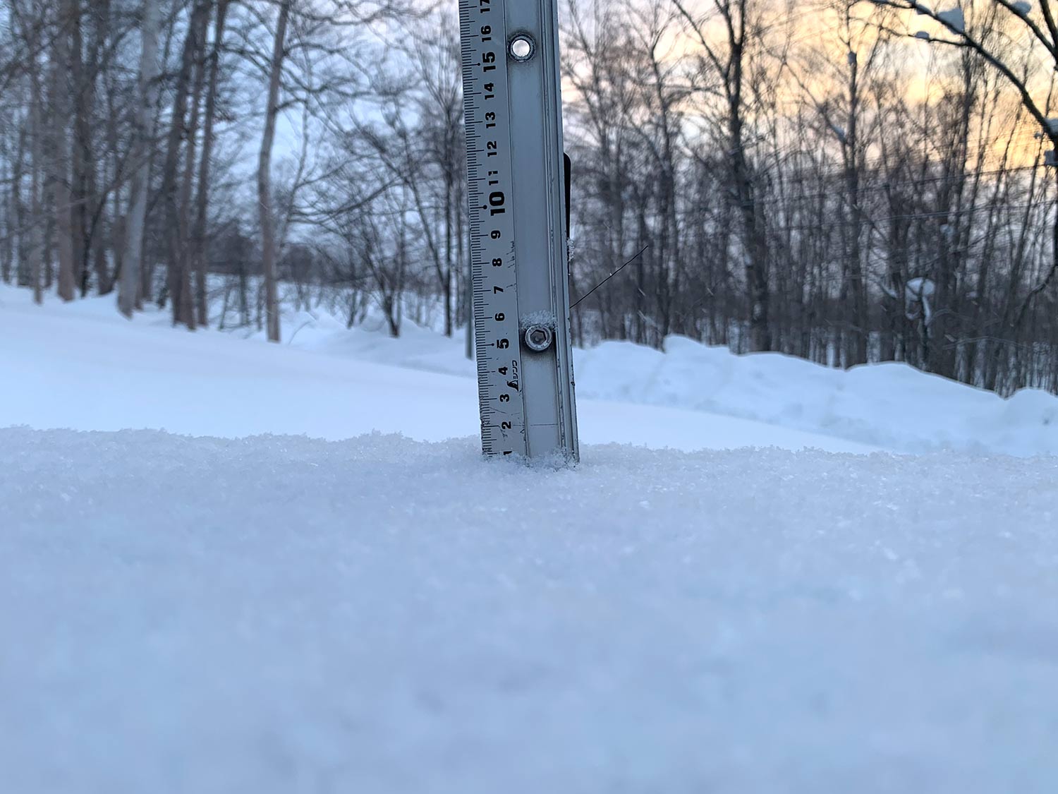 1cm | Mild Conditions & Light Snow - Powderlife