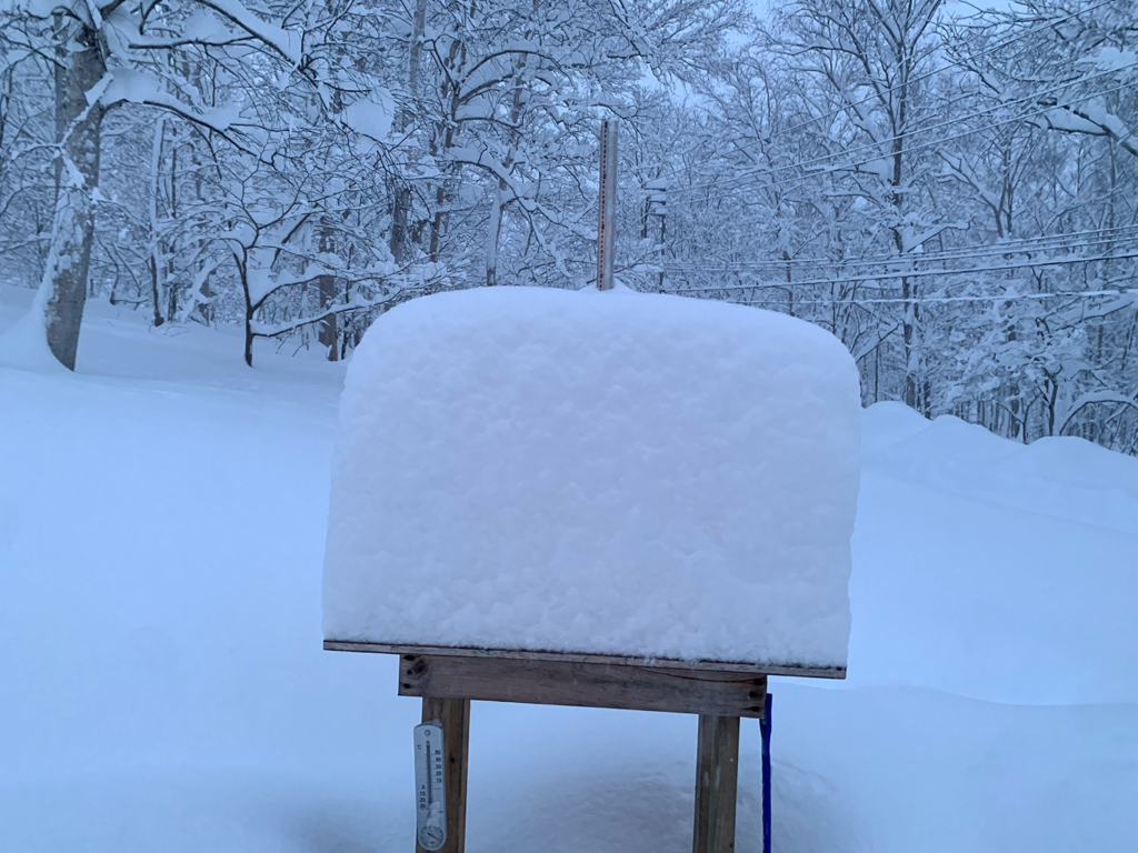 70cm | Biggest Snowfall For Many Years - Powderlife