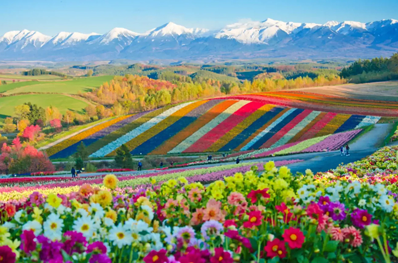 Rhythm Japan Expands: Bike Rentals Now Available Across All Resorts ...