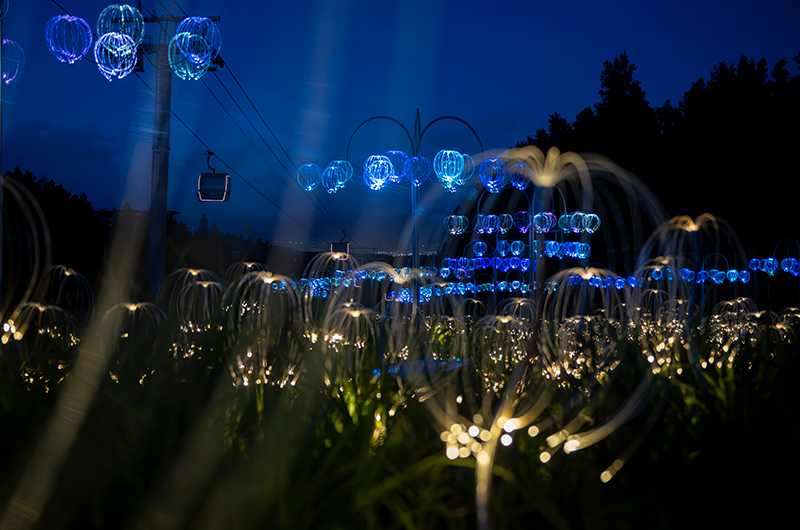 First Look At Niseko Mountain Lights 2024 + Artist Interview - Powderlife